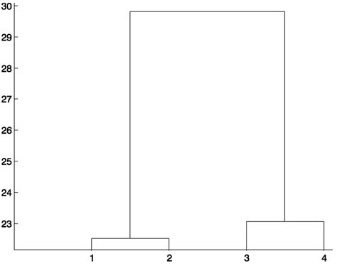 Dendrogram For Clustering With Euclidean Distances Download Scientific Diagram