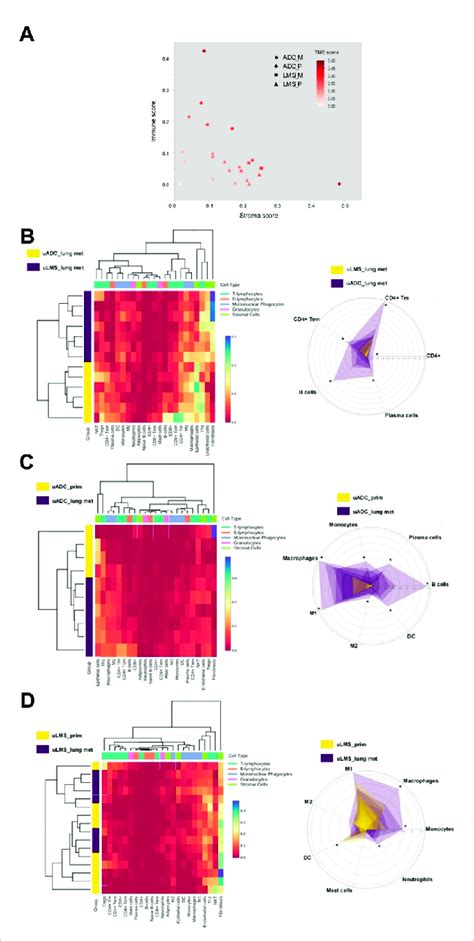 Evaluation Of Immunophenotyping Signatures At The Itf Of Metastatic And Download Scientific