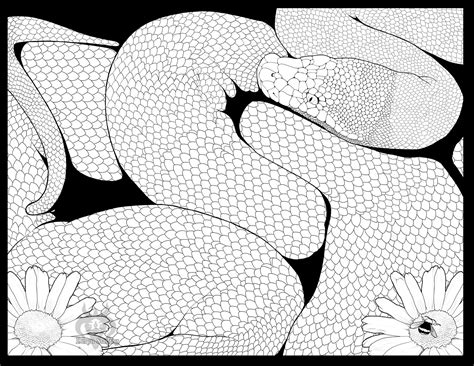 Retic Python Coloring Page Downloadable Etsy