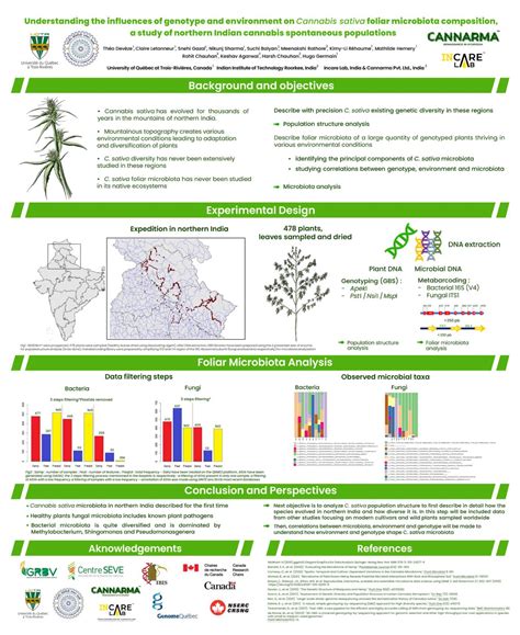 Rohit Chauhan On Linkedin Cannabisindustry Cannabiscommunity