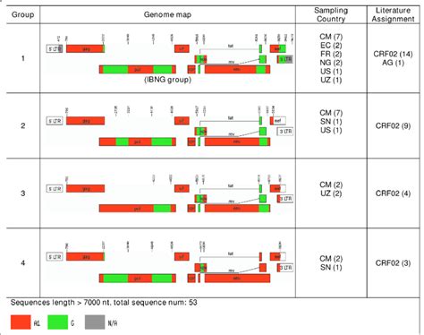 Genome Maps Of All Near Full Length Sequences Composed Exclusively Of Download Scientific