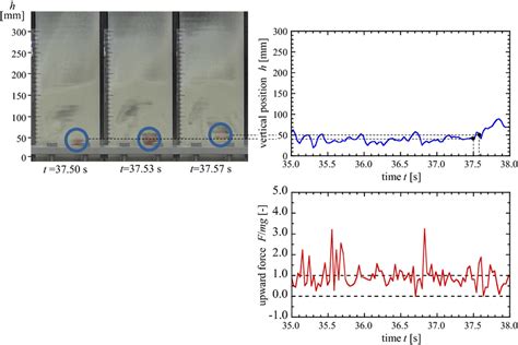 Vertical Position And Upward Force Acting On Lagrangian Particle In