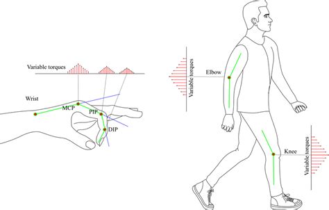 perspective for future implementations of variable curvature actuators