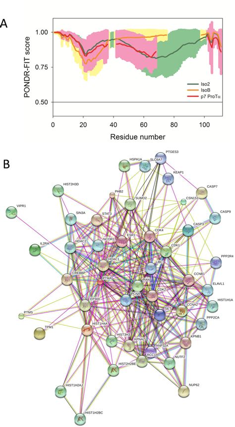 Protα Variants Are Predicted To Be Intrinsically Disordered Proteins Download Scientific