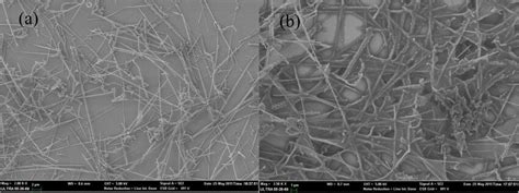The Dispersion Conditions Of Sic Whiskers In Ethanol A And Acetone B Download Scientific