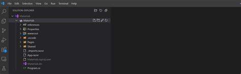exploring the blazor wasm template samuel nettey