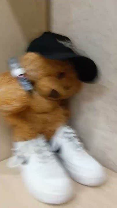 обзор на Фреди фазбер ор ор ор ор мишкафреди пжрек видео бравостарс мем тегиграффити Youtube