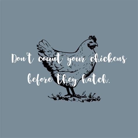 don t count your chickens before they hatch mindset made better