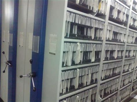 Office File Separator At Rs Piece File Dividers In Mumbai ID