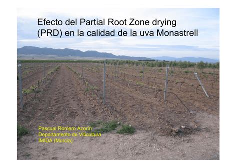 Partial Root Zone Drying Prd
