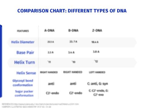 SOLUTION Different Types Of Dna Studypool