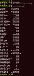 How To Check Memory On Debian Linux NixCraft