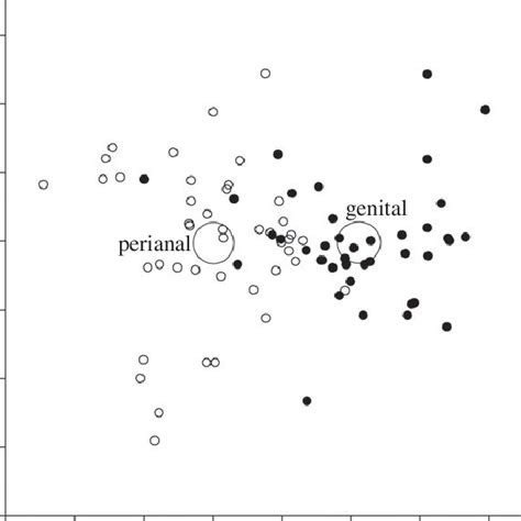 Patterns In The Chemical Composition Of Genital Filled Circles And Download Scientific