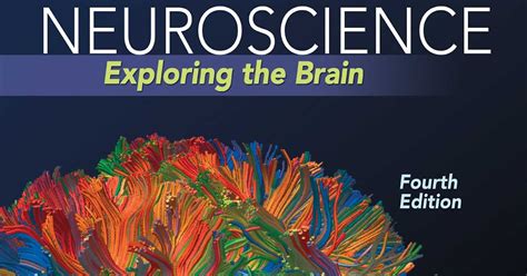 Neuroscience Exploring The Brain International Edition