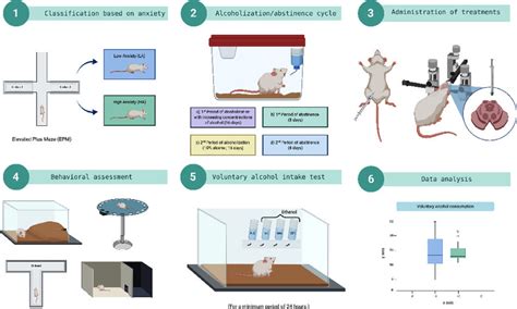 Graphical Description Of The Protocol Download Scientific Diagram