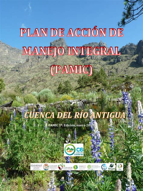 Pamic Rio Antigua Descargar Gratis Pdf Cuenca De Drenaje Entorno Natural