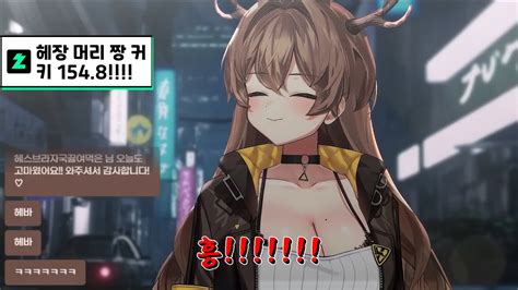 헤스 놀리기 Youtube