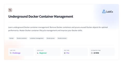 Underground Docker Container Management Labex