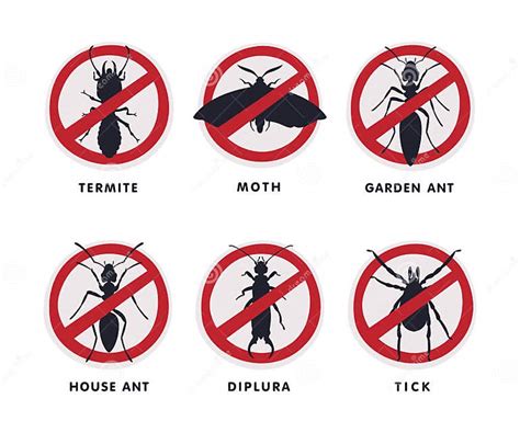 Stop Insect Ban Sign With Red Cross Circle And Bug Inside Vector Set