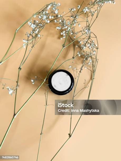 제로 웨이스트 화장품 용기의 평면도 화이트 크림으로 스킨 케어 포장을 개봉합니다 유기농 화장품의 개념 간판에 대한 스톡 사진 및 기타 이미지 Istock