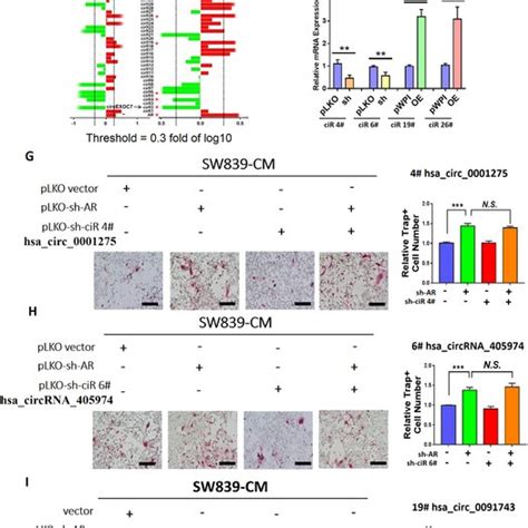 Circrna Microarray And Screening Process Results From Circrna