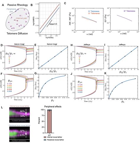 Figure S4 Rheological Measurements And Simulations Of Chromatin Download Scientific Diagram