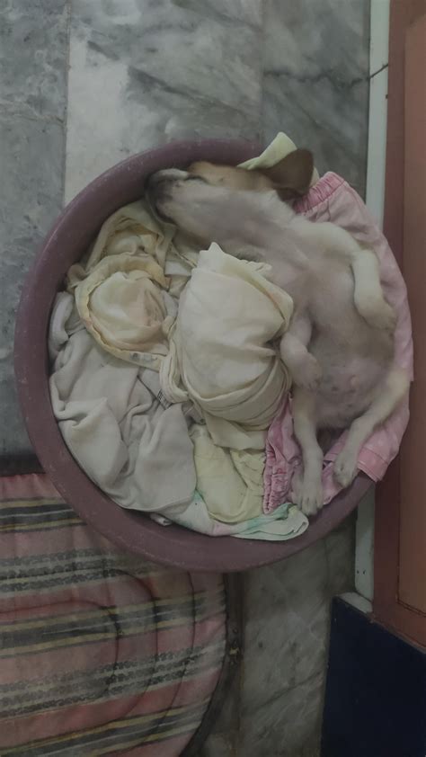 I Think I Got The Concept Of Polymerization Rmasterduel