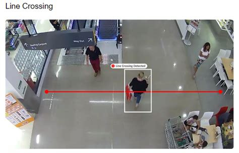 Gorilla Ivar Pricing Features And Details In 2025