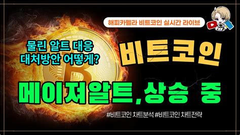 비트코인 실시간 메이져알트코인 상승 중 물린 알트 대응 대처방안 어떻게 10월 19일 저녁💎 비트코인 비트코인실시간