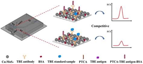 A Portable Microfluidic Based Electrochemiluminescence Sensor For Trace