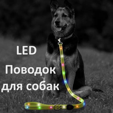 Светящийся ошейник регулируемый поводок с LED подсветкой для собак ...