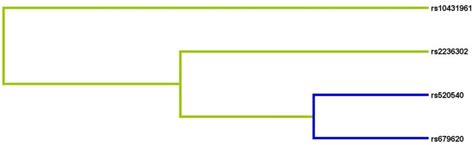 Dendrogram Of Snp Snp Interactions Download Scientific Diagram