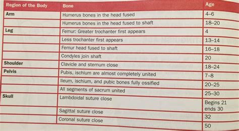 Determining Age Forensic Anthropology Review