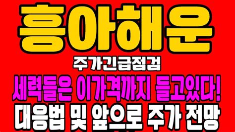 흥아해운 전망 세력들은 이가격까지 들고있다 Youtube