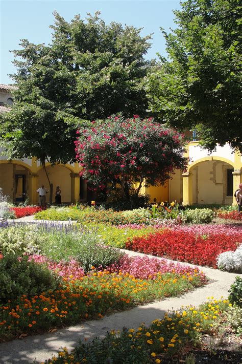 무료 이미지 나무 잔디 여름 프랑스 가을 휴일 뒤뜰 식물학 화려한 정원 플로라 꽃들 남쪽 조경 안마당 호텔 관목 식물원 재산 우디 식물