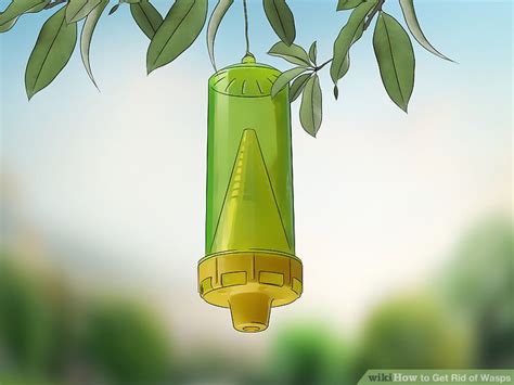 Ways To Get Rid Of Wasps WikiHow