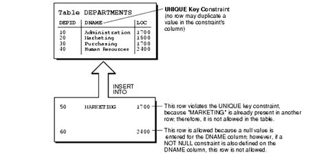 Maintaining Data Integrity In Database Applications