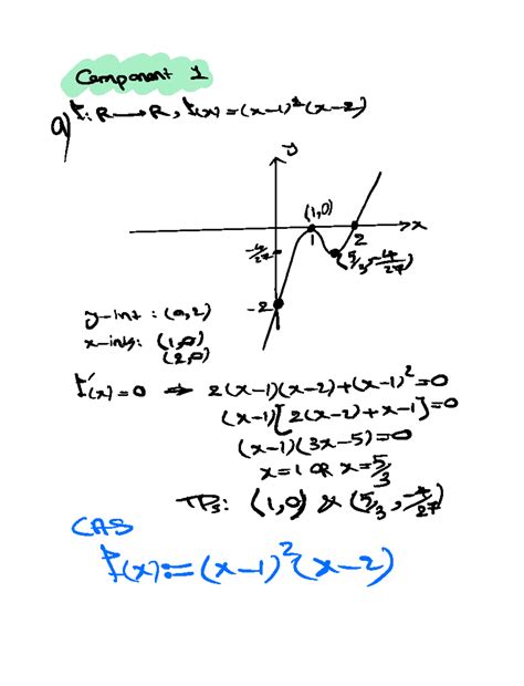 sample application task investigating some polynomial functions