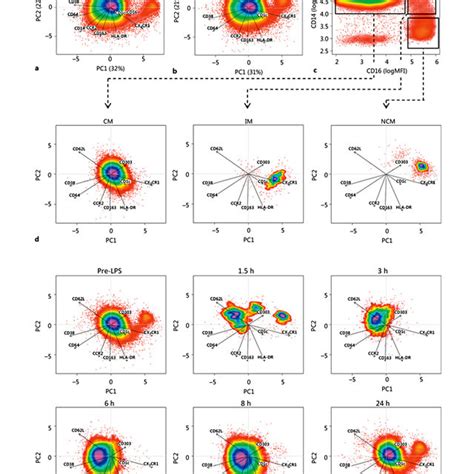 Multidimensional Single Cell Analysis Principal Component Analysis