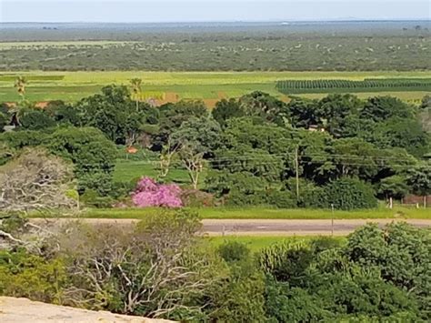 Farm For Sale In Dendron P24 114065456