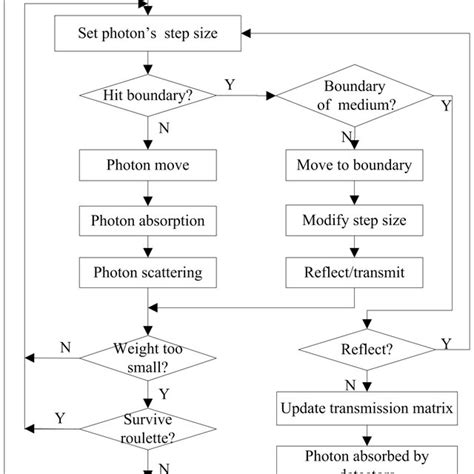 Flow Chart Of The Monte Carlo Simulation Of Light Propagation In Turbid Download Scientific