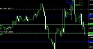 Forex Auto Scalper Robot For MT And MT