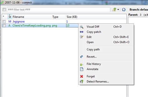 Version Control Cant Ignore A File In Mercurial Commit Tortoisehg Stack Overflow