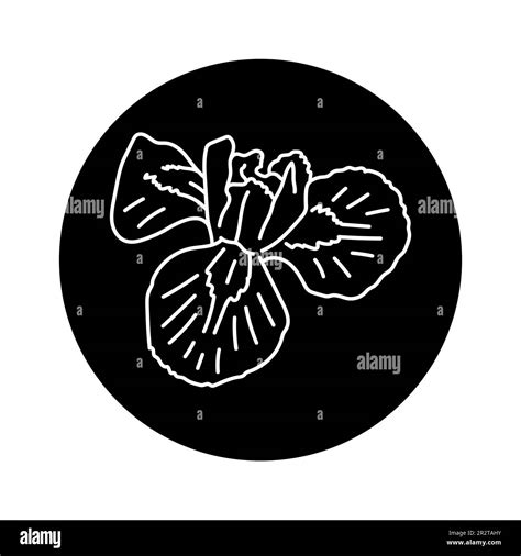 Winter Iris Stock Vector Images Alamy