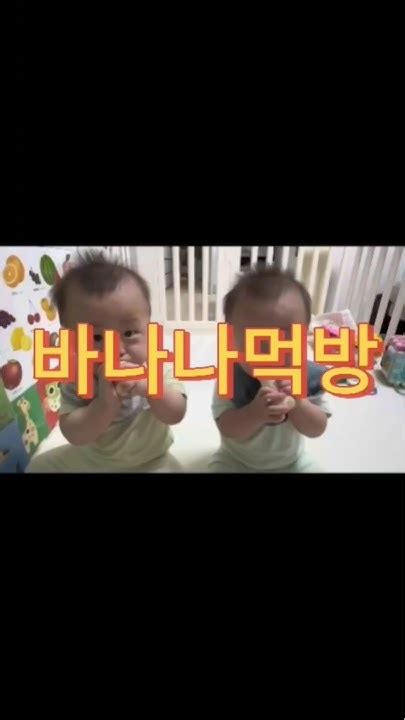 바나나먹방 쌍둥이 아들둥이 아들쌍둥이 일란성 육아 쌍둥이육아 이유식과일 이유식 과일 바나나 Youtube