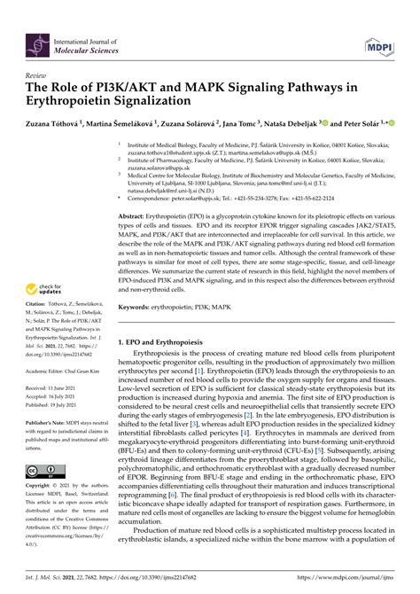 The Role Of Pi3k Akt And Mapk Signaling Pathways In Erythropoietin