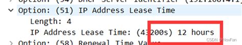 wireshark 实验八：dhcp wireshark过滤dhcp报文 csdn博客