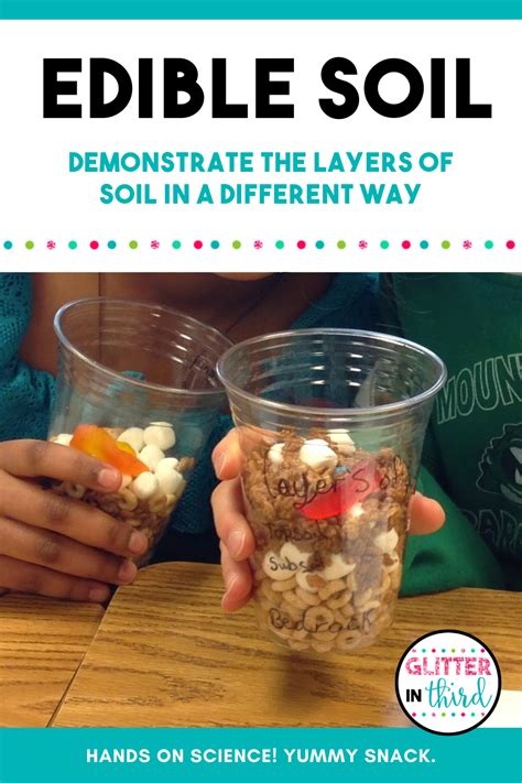 Edible Soil Soil Layers Soil Activities Science Snack