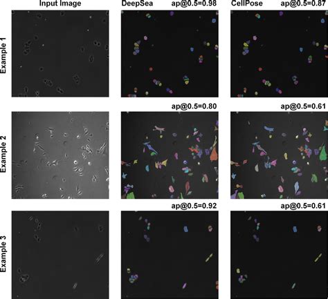 Three Examples Of Segmentation Outputs DeepSea Output Middle Column Download Scientific