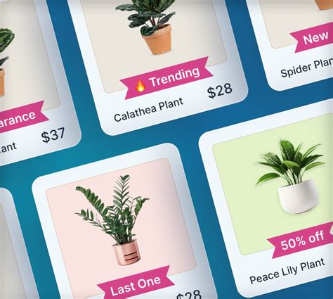 How To Fix Why Aren T My Products Showing Up On Shopify Burst